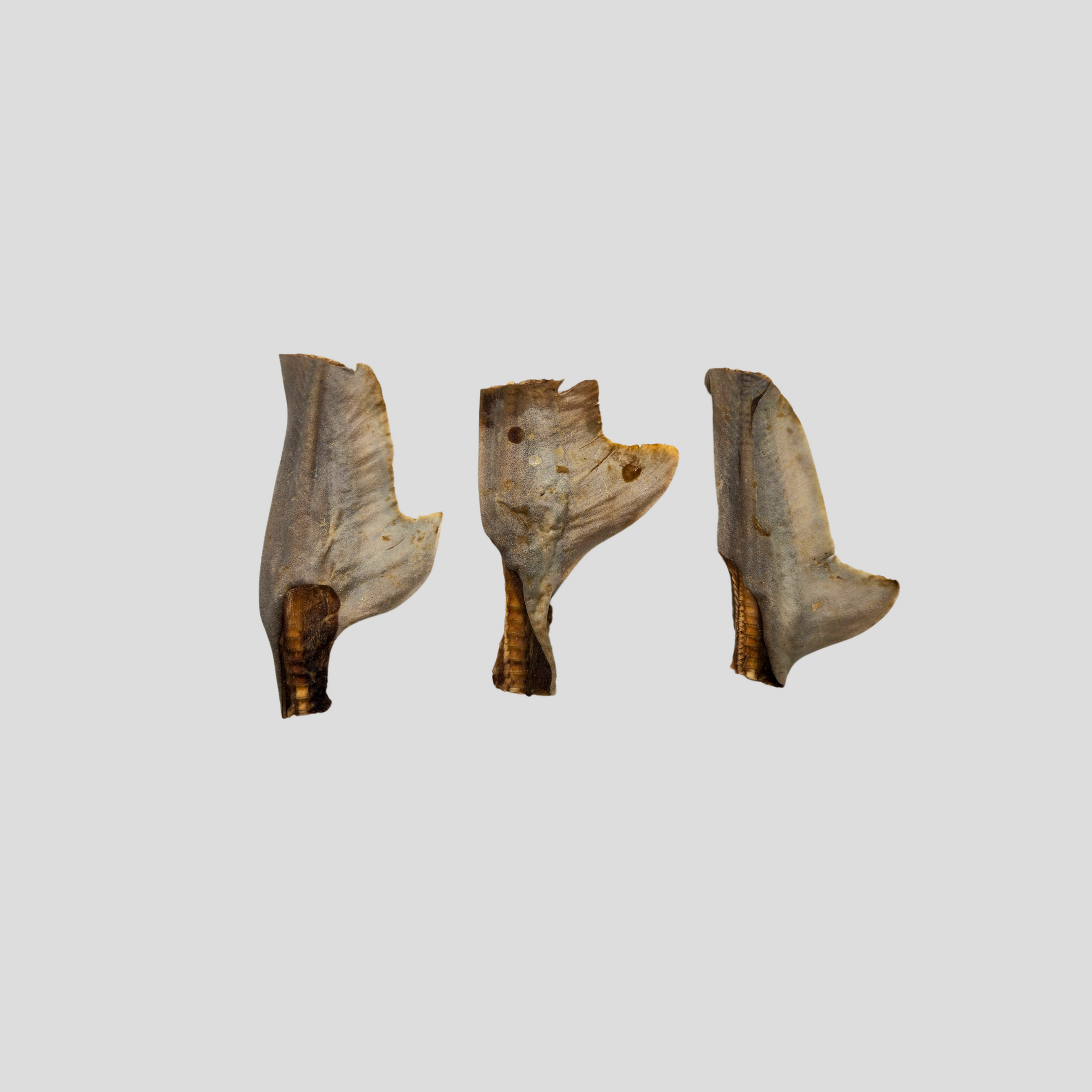 Click to expand Tap to zoom